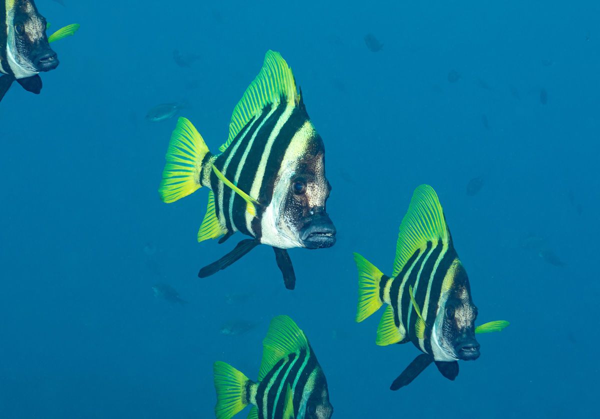 Malcolm Nobbs - 2019 December