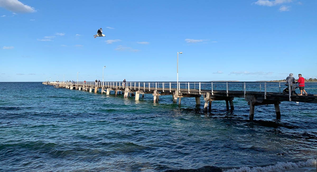 Malcolm Nobbs - 2019 April