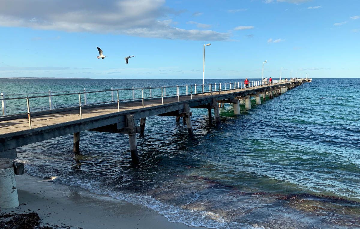 Malcolm Nobbs - 2019 April